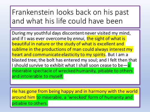 Frankenstein Chapters 19 and 20 | Teaching Resources