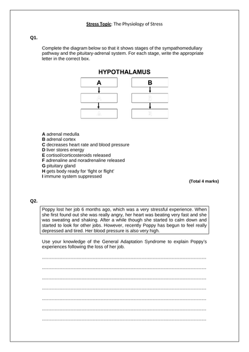 A-Level Psychology - THE PHYSIOLOGY OF STRESS [Stress Topic] | Teaching ...