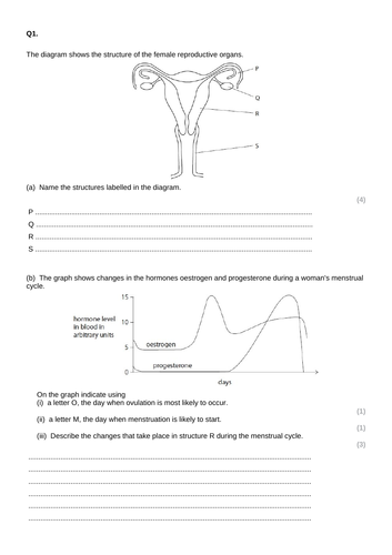 CIE 6.5 Sexual Hormones in Humans: Menstrual Cycle | Teaching Resources