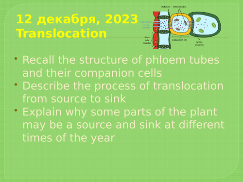 CIE 7.2 Transport Mechanisms in Plants: Sugars and Assimilates ...