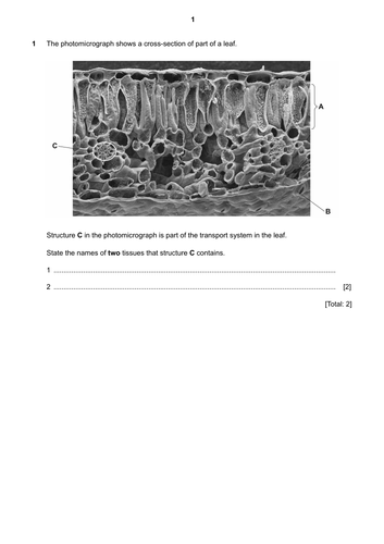CIE 7.2 Transport Mechanisms in Plants: Sugars and Assimilates ...