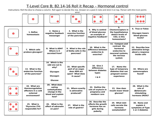 T Level Health 2024 2025 B2 14 16 Endocrine System Plus B1 28