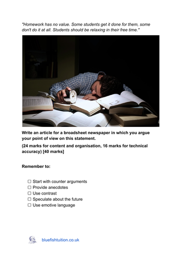 English Language full marks model article: 'Homework has no value ...