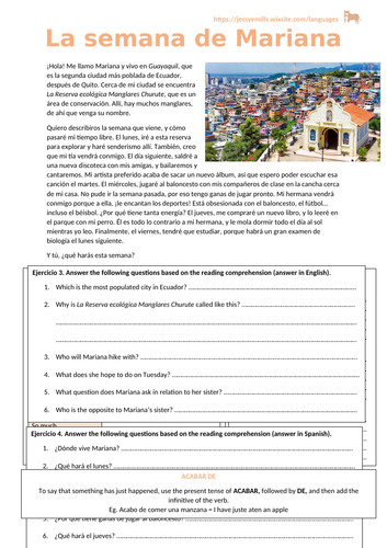 Spanish Reading Comprehension - Free time | Teaching Resources