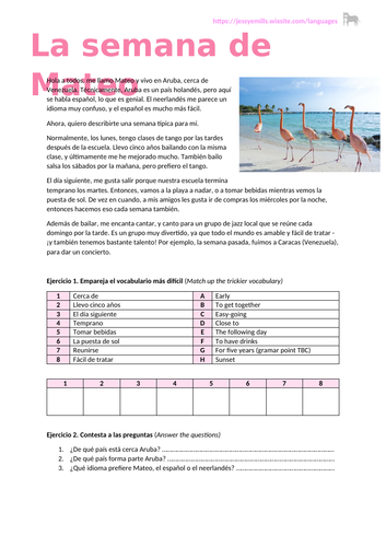 Spanish Reading Comprehension - Free time | Teaching Resources