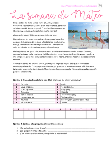 Spanish Reading Comprehension - Free time | Teaching Resources