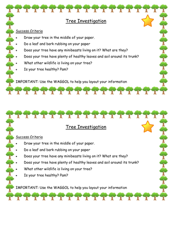 Tree Investigation - Outdoor Learning | Teaching Resources