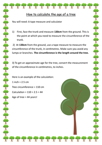 Tree Investigation - Outdoor Learning | Teaching Resources