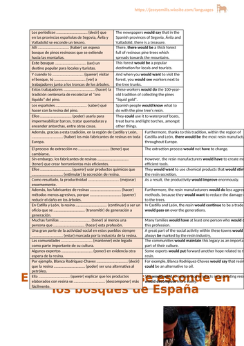 Spanish Grammar - Conditional Tense | Teaching Resources