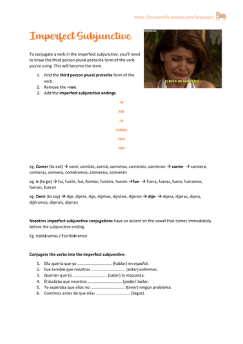 Spanish Grammar - Subjunctive Mood | Teaching Resources