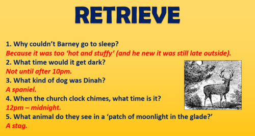 Stig of the Dump - Chapter 8 - Midsummer Night! | Teaching Resources