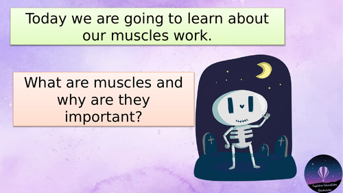 Different Muscles of the Human Body - Outstanding KS2 Science Lesson ...