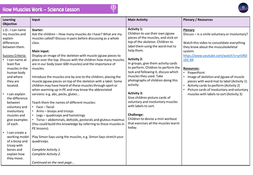 Different Muscles of the Human Body - Outstanding KS2 Science Lesson ...