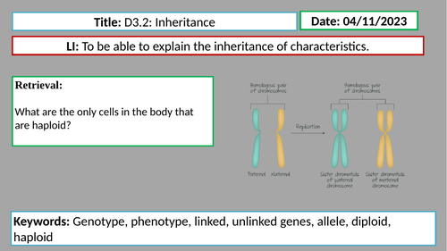 IB Biology D3.2: Inheritance (first exams in 2025) | Teaching Resources