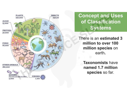 Concept and Uses of Classification Systems - Binomial system, Comparing DNA | Teaching Resources