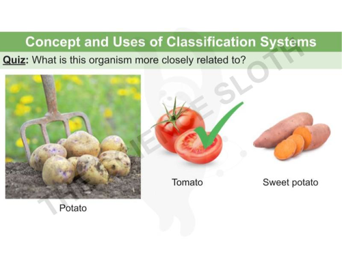 Concept and Uses of Classification Systems - Binomial system, Comparing ...