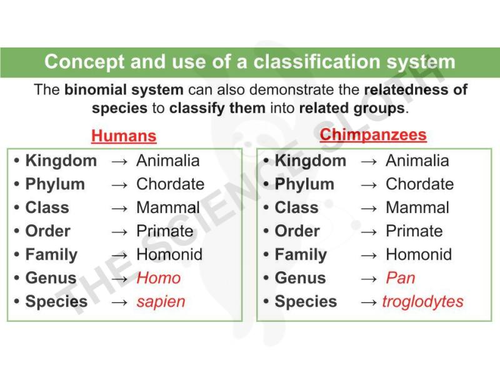Concept and Uses of Classification Systems - Binomial system, Comparing ...