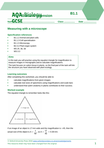 B1.1 The world of the microscope | Teaching Resources