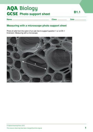 B1.1 The world of the microscope | Teaching Resources