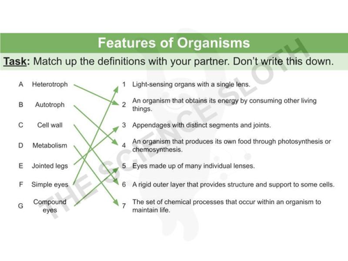 Features of Organisms - Classifying Cells, Mammals, Arthropods, Plants ...