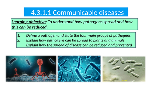 AQA GCSE Communicable diseases 4.3.1.1-4.3.1.5 lesson bundle | Teaching ...