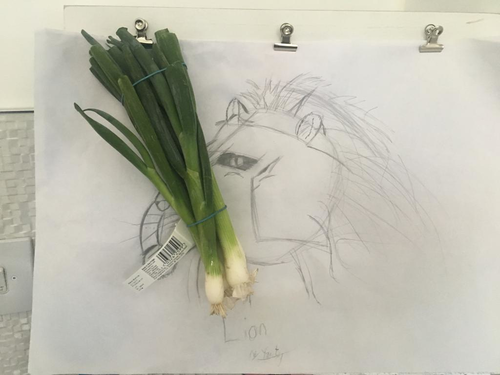 Year 1 English plan t4w unit Supertato whole half term talk for writing ...