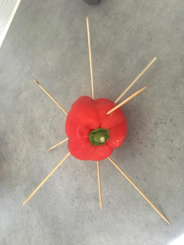 Year 1 English plan t4w unit Supertato whole half term talk for writing ...