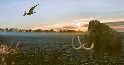 Digital Functional Skills - Module 1 - Using Devices & Handling ...