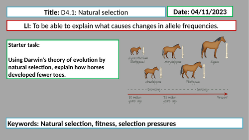 IB Biology D4.1: Natural selection (first exams in 2025) | Teaching ...