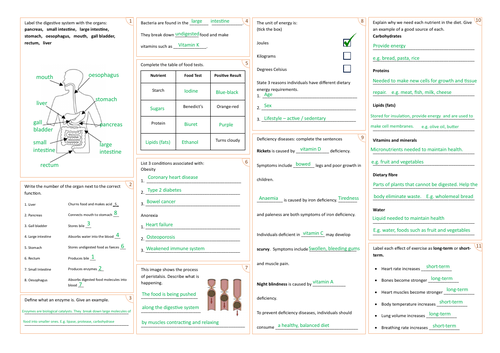 Nutrition and Digestion Revision Mat | Teaching Resources
