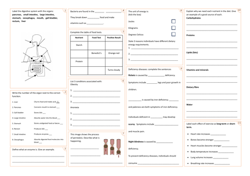 Nutrition and Digestion Revision Mat | Teaching Resources