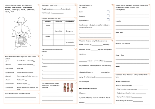 Nutrition and Digestion Revision Mat | Teaching Resources