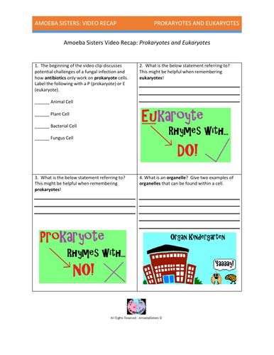 B1.3 Eukaryotic and prokaryotic cells | Teaching Resources