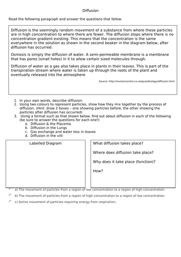 B1.6 Diffusion | Teaching Resources