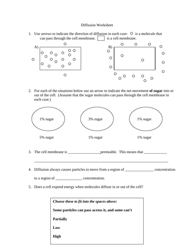 B1.6 Diffusion | Teaching Resources