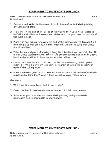 B1.6 Diffusion | Teaching Resources