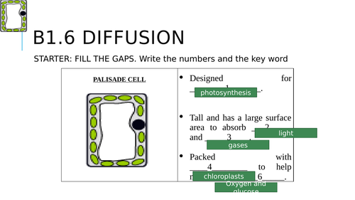 B1.6 Diffusion | Teaching Resources