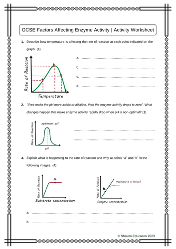 GCSE Biology - Factors Affecting Enzyme Activity - Activity Worksheet ...
