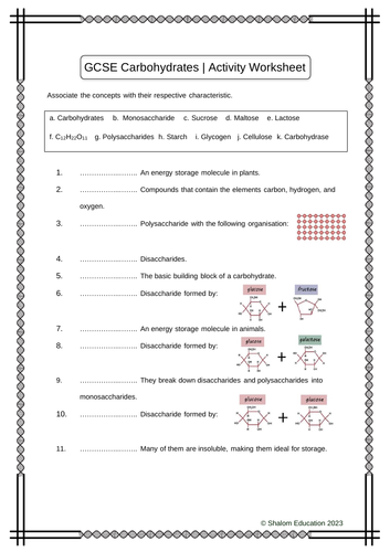 GCSE Biology - Carbohydrates Activity Worksheet | Teaching Resources