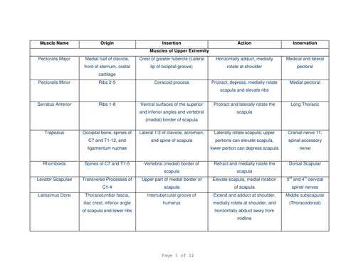 IB SEHS - Unit 1.2 - The Muscular System | Teaching Resources