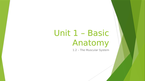 IB SEHS - Unit 1.2 - The Muscular System | Teaching Resources