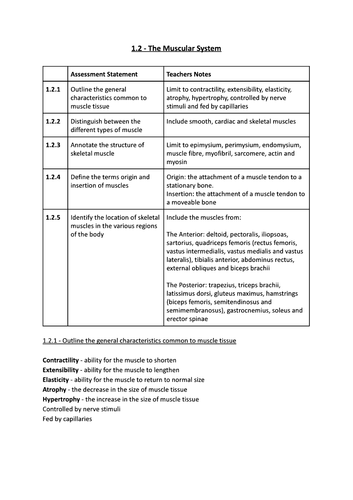 IB SEHS - Unit 1.2 - The Muscular System | Teaching Resources