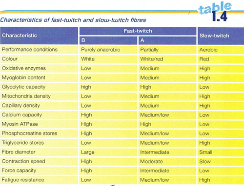 IB SEHS - Unit 4.1 - Neuromuscular Function | Teaching Resources