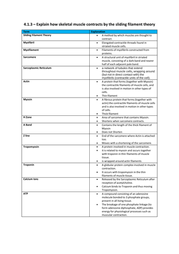 IB SEHS - Unit 4.1 - Neuromuscular Function | Teaching Resources