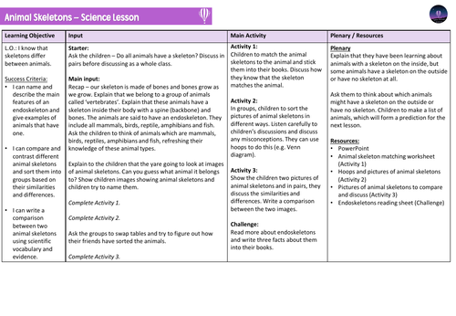 Animal Skeletons - Outstanding KS2 Science Lesson | Teaching Resources