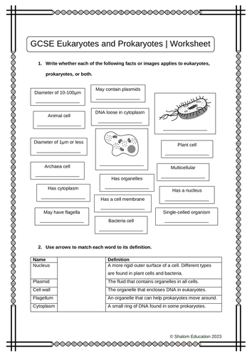 AQA GCSE Cell Biology Pack - 21 Activity Worksheets | Teaching Resources