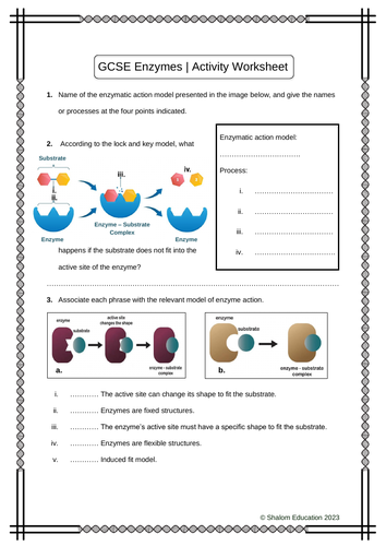 AQA GCSE Cell Biology Pack - 21 Activity Worksheets | Teaching Resources