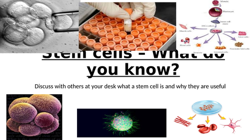 B2.3 Stem cell | Teaching Resources