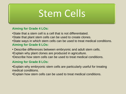 B2.3 Stem cell | Teaching Resources