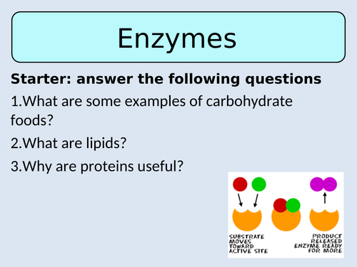 B3.4 Catalysts and enzymes | Teaching Resources
